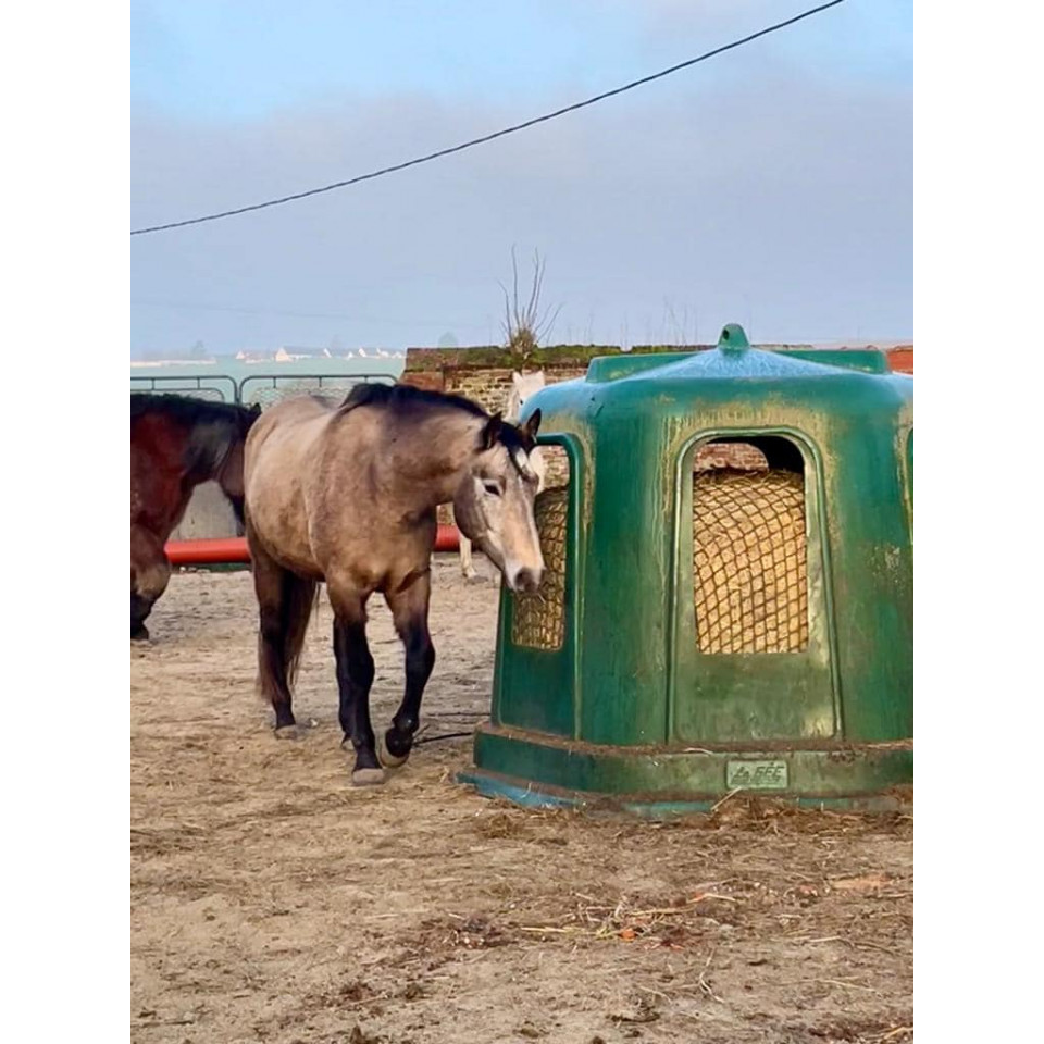 Filet à foin balle ronde pour chevaux - EKEEP