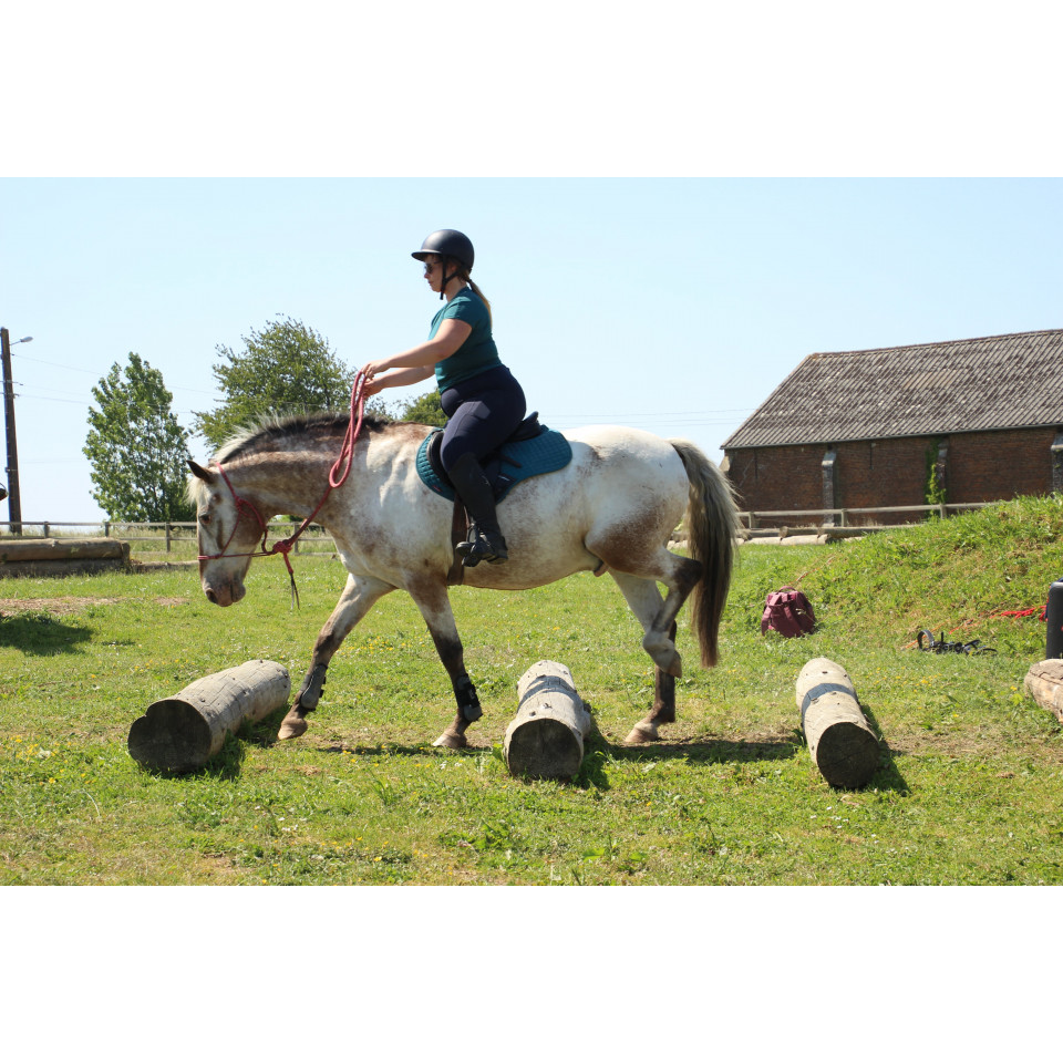 Stage de Mountain trail, équitation éthologique - EKEEP